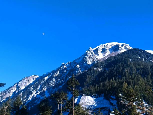 Kalam Pictures | Download Free Images on Unsplash