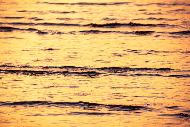 Free picture: foam, water, wet, wave, seashore, sea, daylight, ocean ...