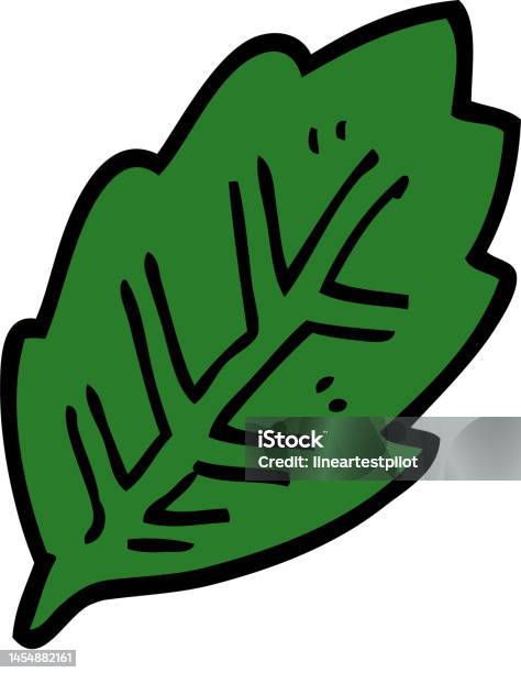 Feuille Darbre De Dessin Animé Doodle Vecteurs Libres De Droits Et Plus