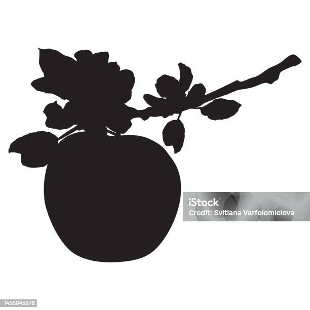 Silhouette Noire De Fleur De Pommier Rameau Darbre Fruitier Avec