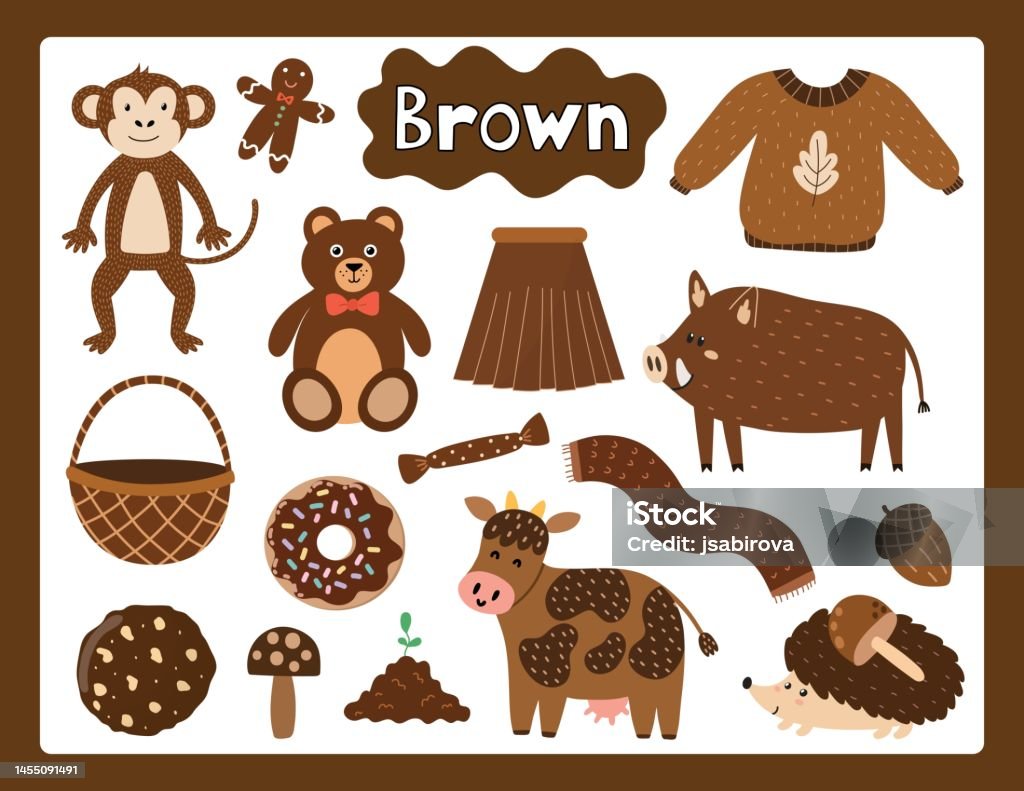 Set Of Brown Color Objects Primary Colors Flashcard With Brown Elements Stock Illustration