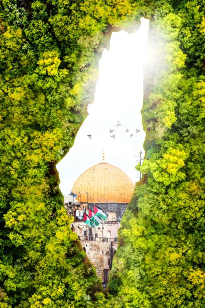 Quds Pictures | Download Free Images on Unsplash