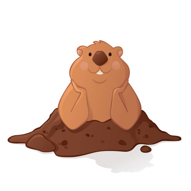 Free Groundhog Vector Art - Download 5+ Groundhog Icons & Graphics ...