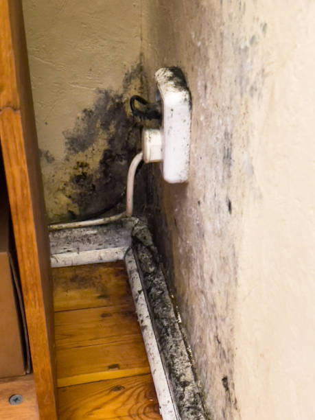 Dirty House Pictures | Download Free Images on Unsplash
