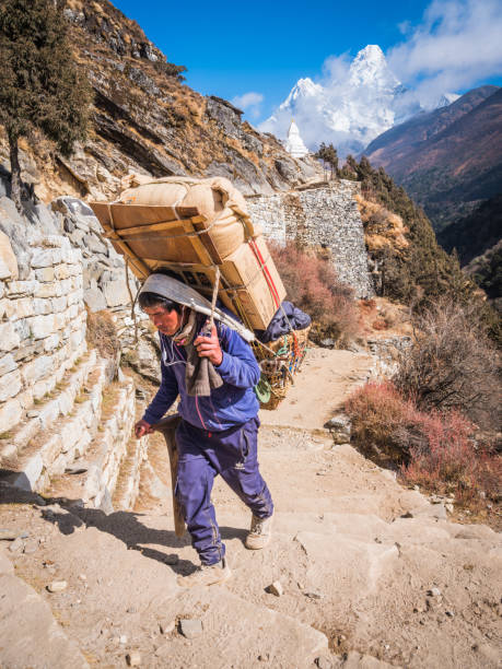 Free Stock Photo of Porter carrying a load on a mountain trek ...