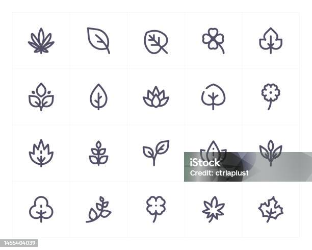 Ilustración de Conjunto De Iconos De Hoja Y Línea Natural Ilustración ... Ilustración de Conjunto De Iconos De Hoja Y Línea Natural Ilustración ...