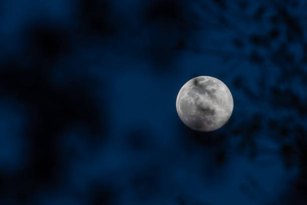 Free Stock Photo of Full moon close-up showing surface details in night ...