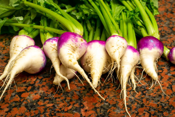Free picture: beetroot, fresh, radish, turnip, vegetables, food, root ...