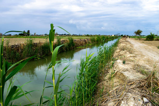 Free picture: curved, irrigation, canal, empty, water