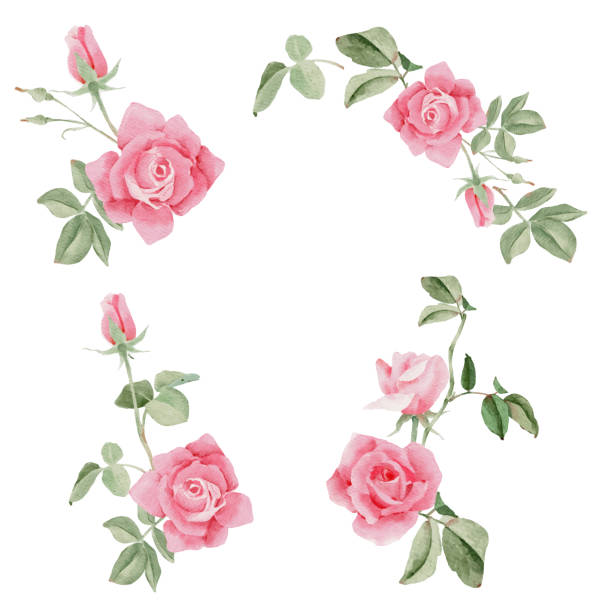 Pink Rose Flower Clip Art
