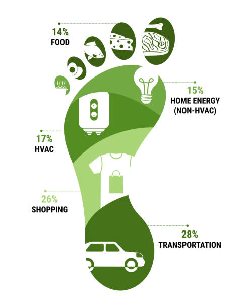 Carbon Footprint Infographic Co2 Ecological Footprint Scheme Carbon Footprint Infographic Co2 Ecological Footprint Scheme