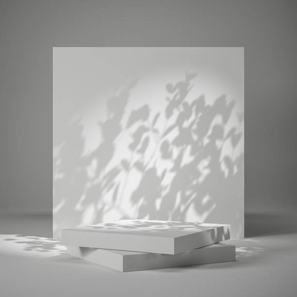 Minimal Black And White Pictures | Download Free Images on Unsplash