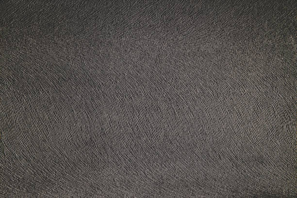 Free picture: Texture of grey fur with close-up details of material surface