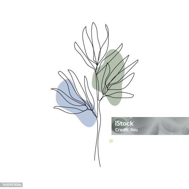 Dessin Continu Dune Ligne De Bambou Plante Art Au Trait Minimaliste Du