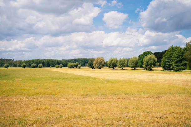 Free Stock Photo of Field With Trees and Distant Hills | Download Free ...
