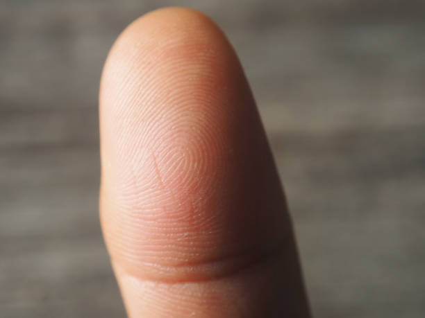 Thumb Print Pictures | Download Free Images on Unsplash
