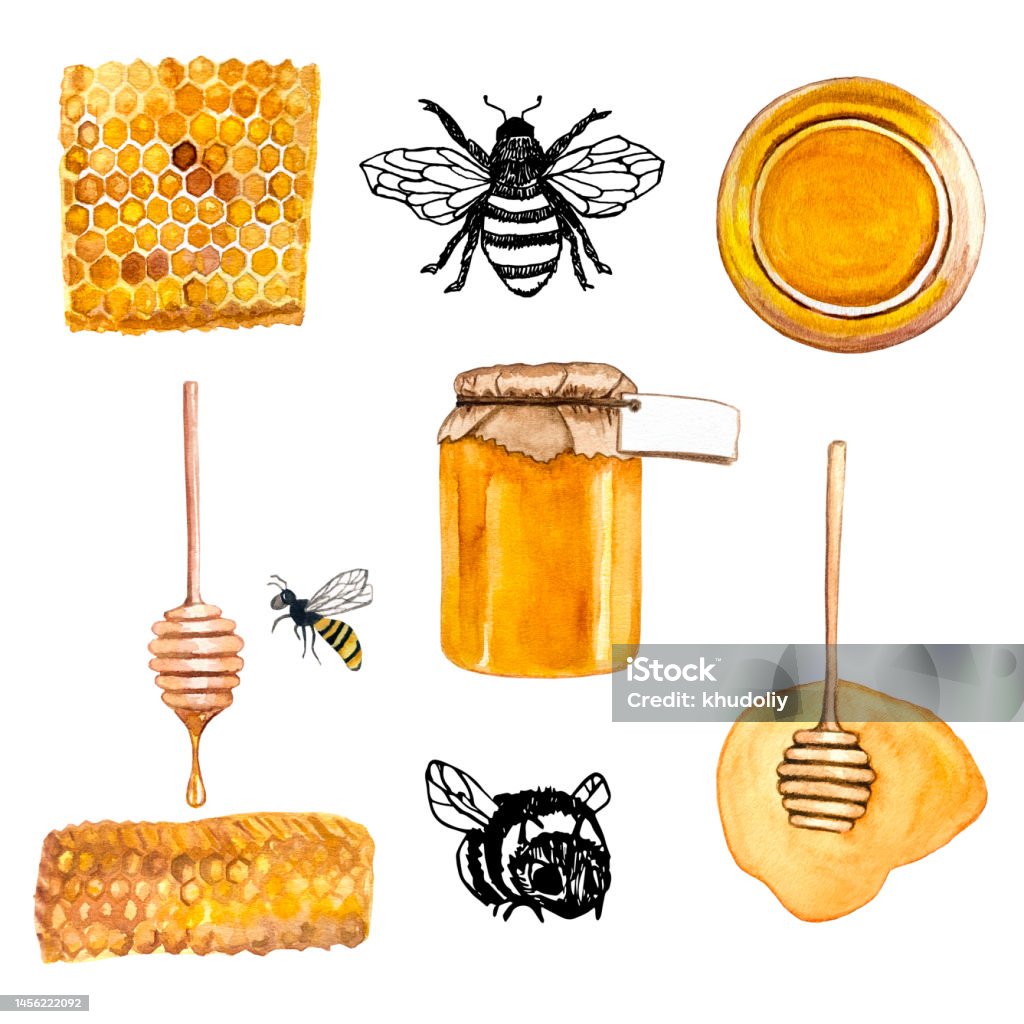 Watercolor Illustration With Jar Of Honey Stock Illustration Download Image Now Watercolor