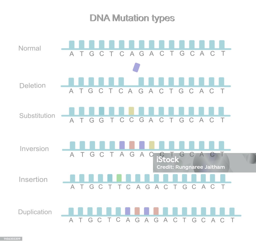 Dna Mutation Deletion