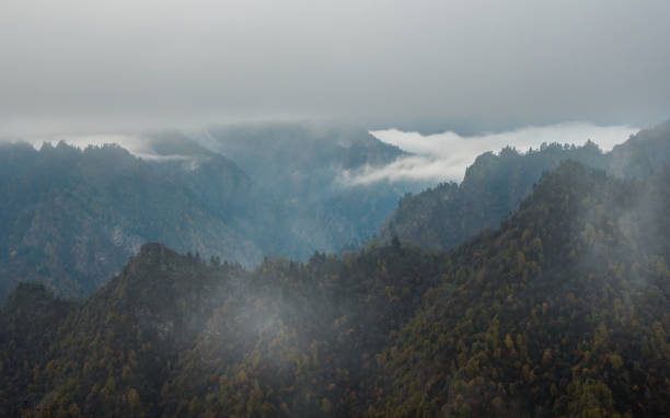 Free picture: Dense fog with heavy clouds above valley surrounded by ...