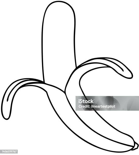 Garis Menggambar Pisang Kartun Unik Ilustrasi Stok Unduh Gambar