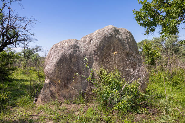 Free Stock Photo of Large Rock in Dry Grass Field | Download Free ...