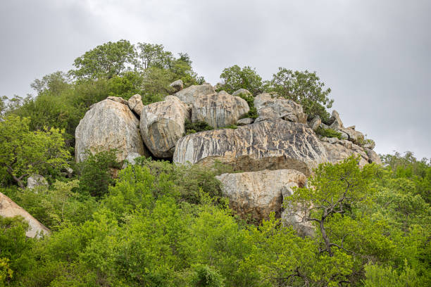 Free picture: big rocks, ground, grass plants, stones, nature, rock ...