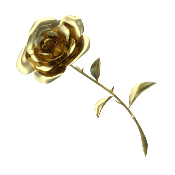 300+ Free Gold Rose & Gold Images - Pixabay