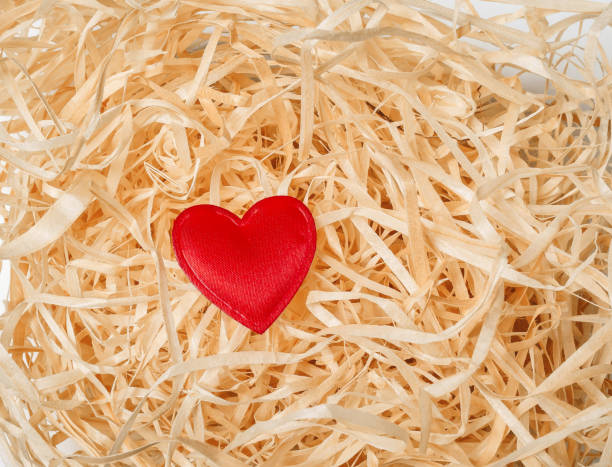 One Love Pictures | Download Free Images on Unsplash
