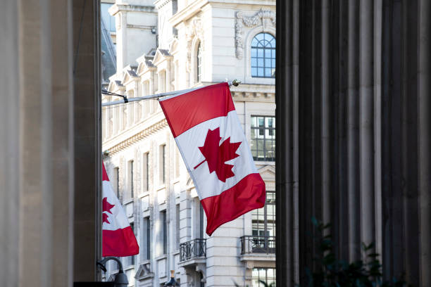 750+ Canada Flag Pictures | Download Free Images on Unsplash