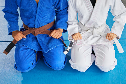 Karate Tangan Dan Ikat Pinggang Dengan Sensei Dan Siswa Berlutut Di ... Karate Tangan Dan Ikat Pinggang Dengan Sensei Dan Siswa Berlutut Di ...
