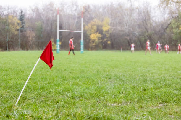 Rugby League Pictures | Download Free Images on Unsplash