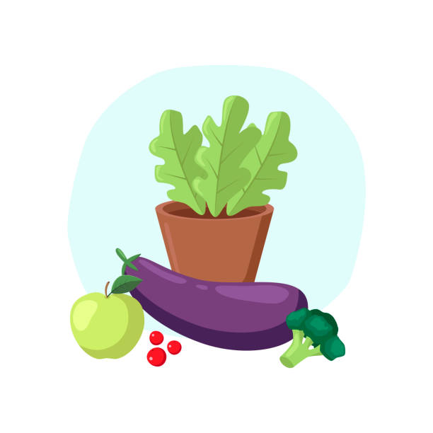 Sources Of Carbohydrates Clipart