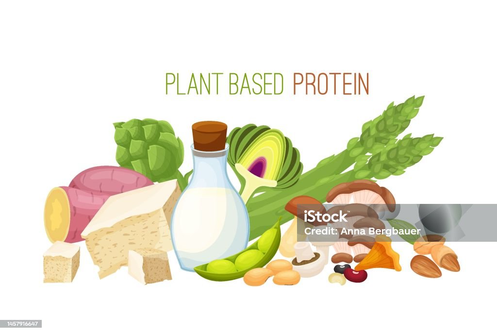 Plant Based Protein Concept Editable Vector Illustration Stock Illustration Download Image Now
