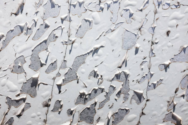 Free Stock Photo of Grey and white paint peeling off texture | Download Free Images and Free ...