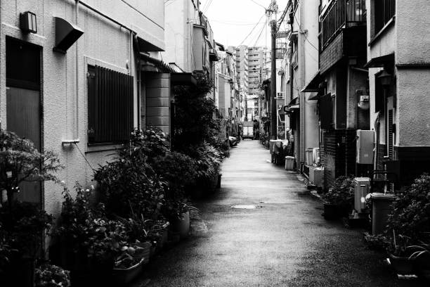 Backstreet Pictures | Download Free Images on Unsplash