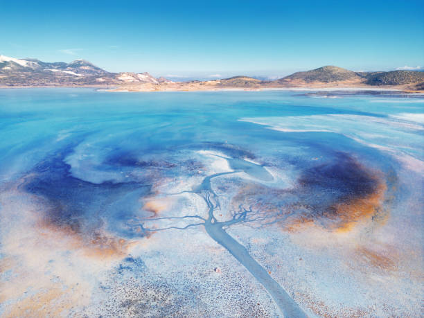 Free Stock Photo of Aerial view of colorful wetlands texture | Download ...