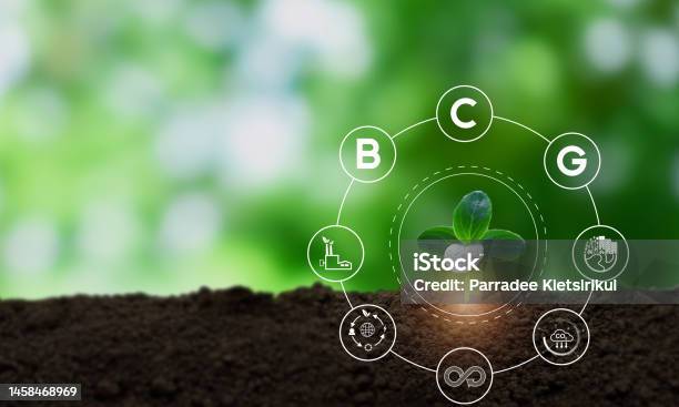 Biocirculargreen Economy Model Strategy For The Sustainability Of