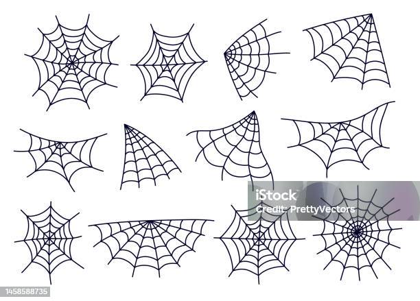 Spinnennetz Spinnennetz Spinnennetz Isoliert Auf Weißem Hintergrund ... Spinnennetz Spinnennetz Spinnennetz Isoliert Auf Weißem Hintergrund ...