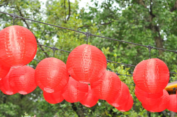 Lampion Pictures | Download Free Images on Unsplash