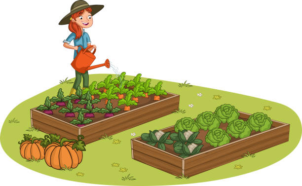 Cartoon Clip Art Raised Beds
