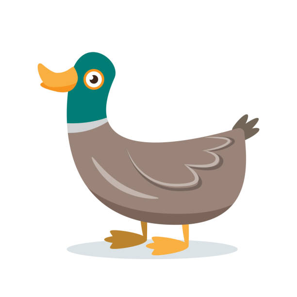 Duck Lips Clip Art