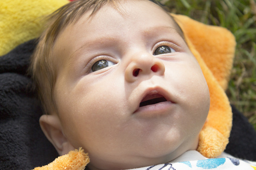 Two Month Old Baby Portrait Stock Photo - Download Image Now - Baby ... Two Month Old Baby Portrait Stock Photo - Download Image Now - Baby ...