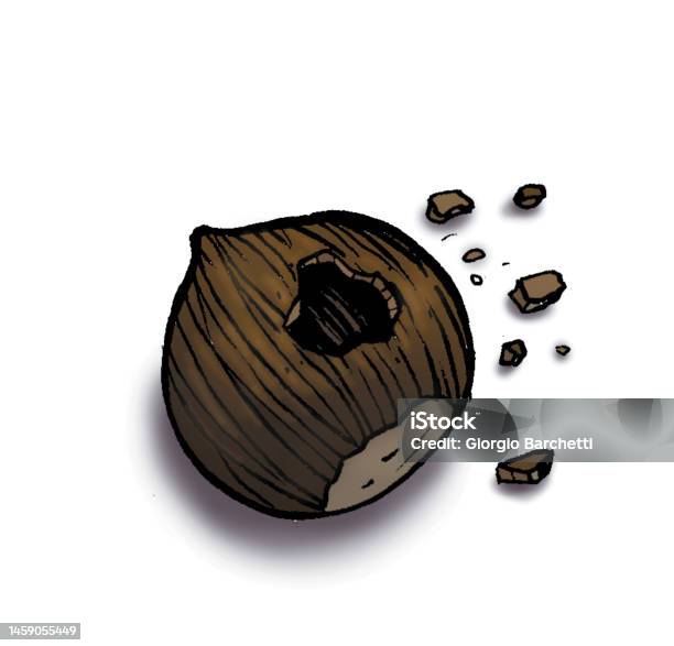 Nut With Hole Stock Illustration Download Image Now Bullet Hole