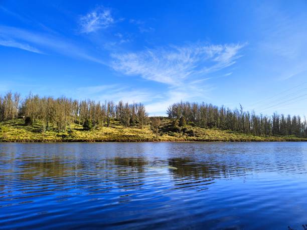 Free picture: Mount Daniel in background of dark blue lake in America ...