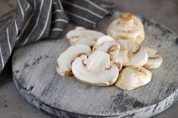Champignon Pictures | Download Free Images on Unsplash