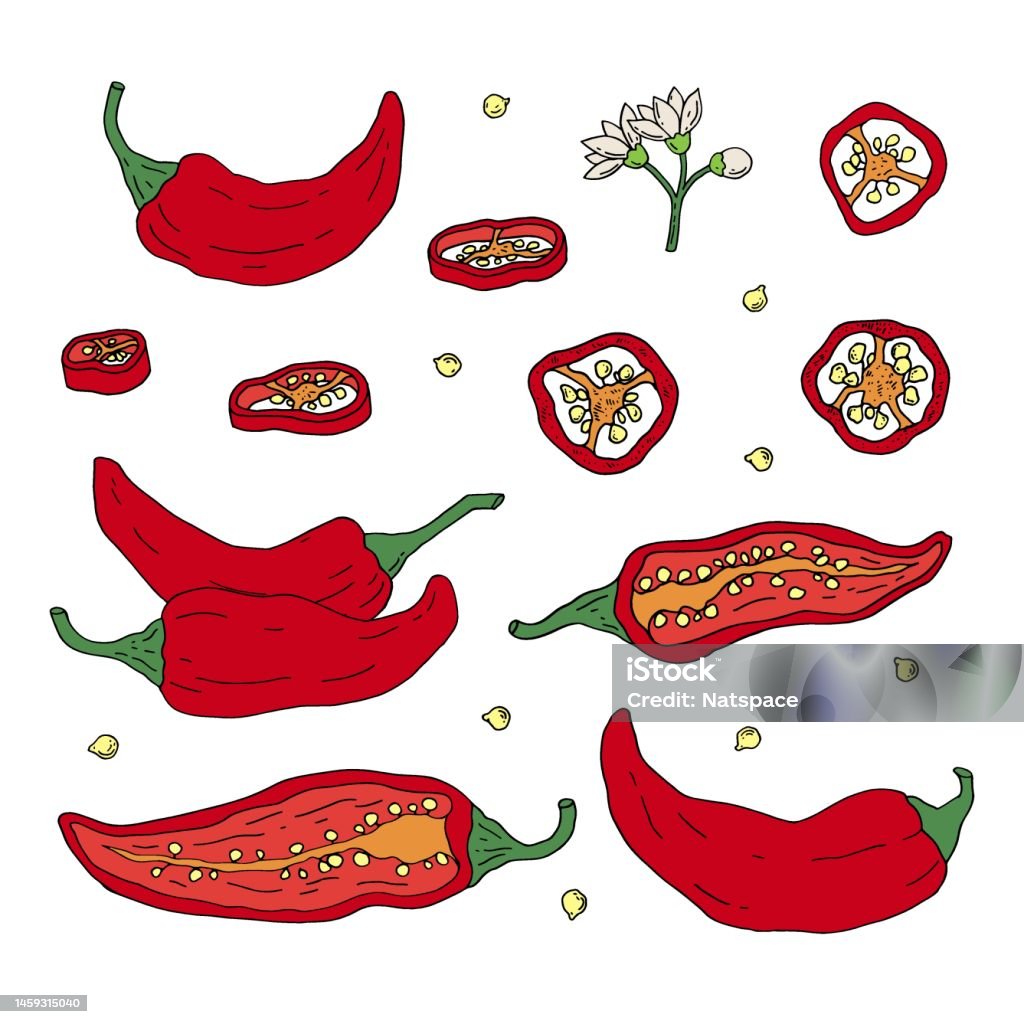 Ensemble Chili Pepper Épices Mexicaines Chaudes Croquis Dessiné À La ... Ensemble Chili Pepper Épices Mexicaines Chaudes Croquis Dessiné À La ...