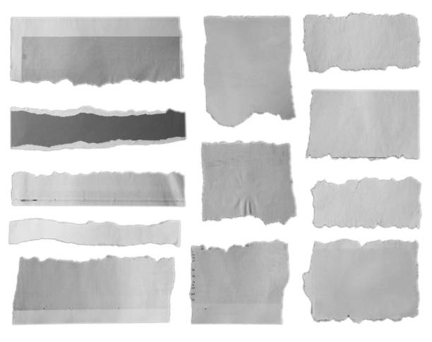 Cut Paper Pictures | Download Free Images on Unsplash