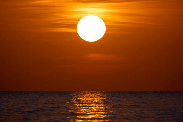 Horizont Pictures | Download Free Images on Unsplash
