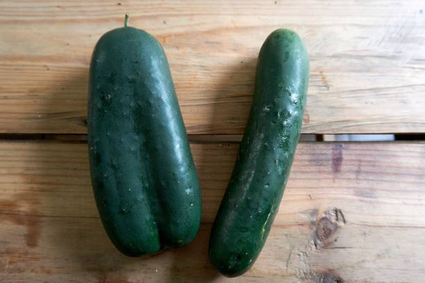 Free picture: mutant, cucumber