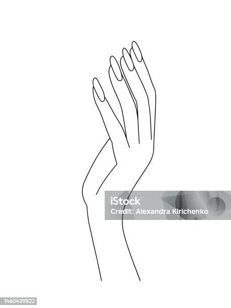 Woman Hand Vector Sketch Stock Illustration Download Image Now